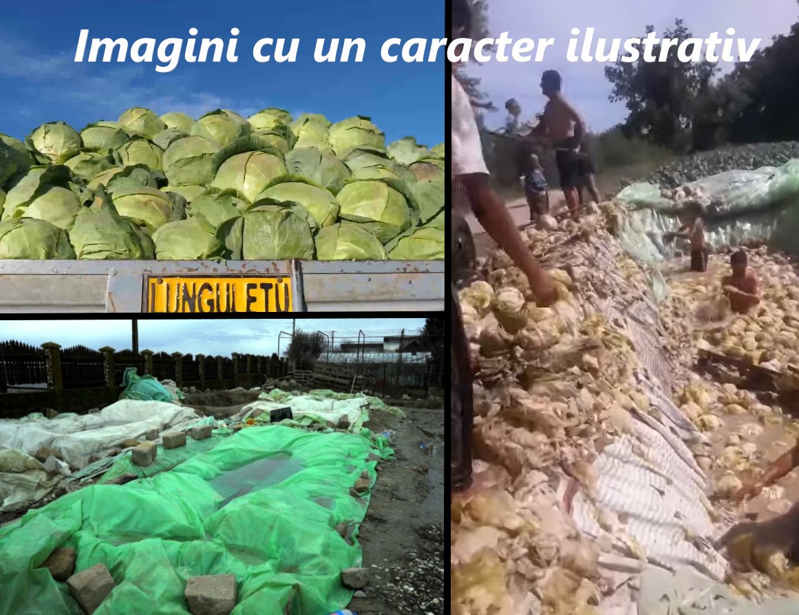 Lungulețu: O persoană a murit și alte două se luptă pentru viață. Au ...